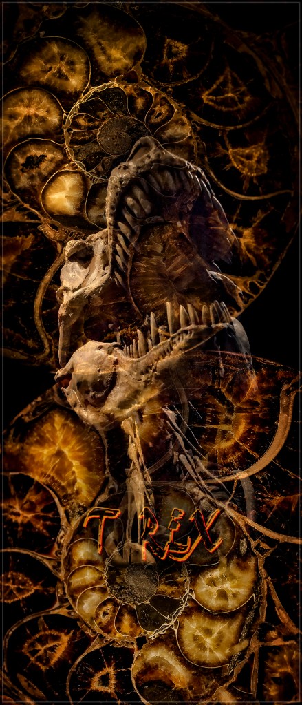 Joe Kerr Photo | Photography is Art