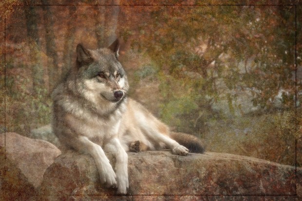 Joe Kerr Photo | Photography is Art